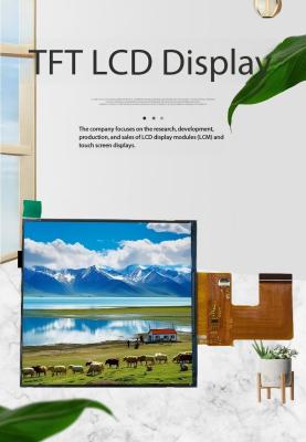 China 3.95 Inch IPS TFT LCD Screen with 720*720 Resolution and MIPI Interface ST7703-V1-G5-D for sale