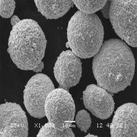 China WC-10Ni HVOF Powder Equal To WOKA 3301 WOKA 3302 WOKA 3302 WOKA 3302 WOKA 3302 WOKA 3303 WOKA 3304 WOKA 3305 WOKA 3307 for sale
