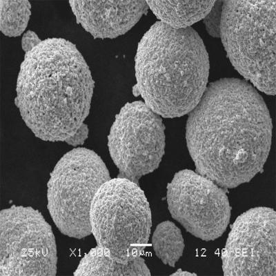 China WC-10Ni HVOF Powder Equal To WOKA 3301 WOKA 3302 WOKA 3302 WOKA 3302 WOKA 3302 WOKA 3303 WOKA 3304 WOKA 3305 WOKA 3307 for sale