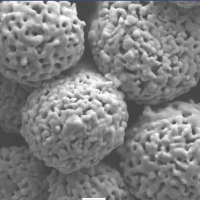 China Spherical Cr3C2 20NiCr Chromium Carbide Powder WOKA7102 Thermal Spraying Powder for sale