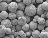 China Spheroidal Nickel Chromium Powder WC-10Ni 90/10 For HVOF Thermal Spraying for sale