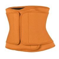 China Stomach Belt To Look Slim XL Bodybuilding Waist Trainer Red Orange Purple for sale