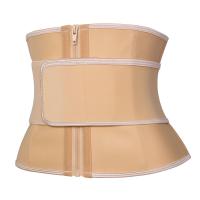 China Single Belt Abdominal High Compression Zipper Waist Trainer For Small Torso for sale