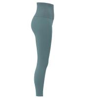 China 3XL High Waist Trainer Leggings for sale