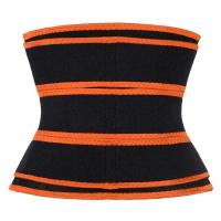 China Tummy Girdle Belt Body Shaper Tight 3 Belts Waist Trainer For Saggy Stomach for sale