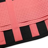 China Breathable Neoprene Waist Trimmer Belt Shape XXL Waist Trainer for sale
