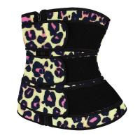 China Core Leopard Print Waist Trainer With Zipper And Belt For Everyday Use for sale