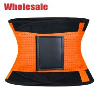 China Plus Size Neoprene Waist Trainer Corset Sweat Belt For Weight Loss for sale