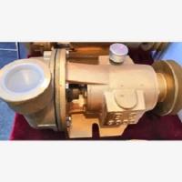 China PC8000 Series Stainless Steel Sea Water Pump Marine Engine Spare Parts China Factory Price for sale