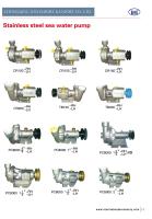 China CR200 Motor Driven Pulley Stainless Steel Marine Electric Diesel Engine Spare Parts Sea Water Pump for sale