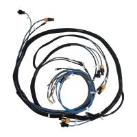 China OEM ODM Automotive Wire Harnesses With Amp Connector Equivalent for sale