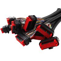 China OEM ODM Automotive Wire Harnesses With Amp Connector Equivalent for sale