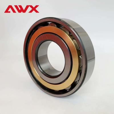 China Double Row Cylindrical Roller Bearing Vibration Level V1 V2 V3 V4 Outer Diameter 30mm-300mm for sale