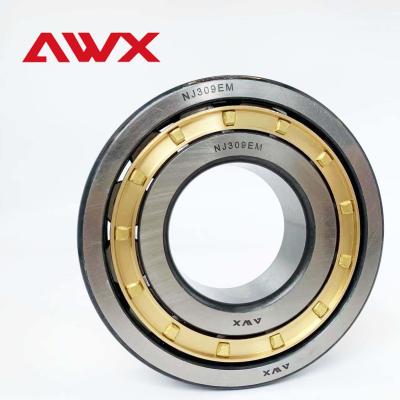China V3 V4 Vibration Forklift Mast Single Row Cylindrical Roller Bearing NJ246EM NJ248EM for sale