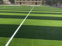 China Sports Futsal Football Field Fake Grass Mat Synthetic Turf 5m x 5m for sale