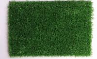 China OEM Wear Resistance Green Gym Artificial Turf Grass 6mm for sale
