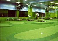 China Putter Green Synthetic Golf Artificial Turf Grass 1m Wide for sale