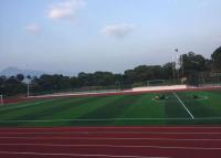 China Eco Friendly Fake Artificial Grass Football Ground Field 9450 s/sqm for sale