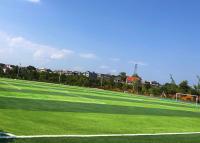 China Monofilament Football Synthetic Grass Turf Playground 9500d 11000d for sale