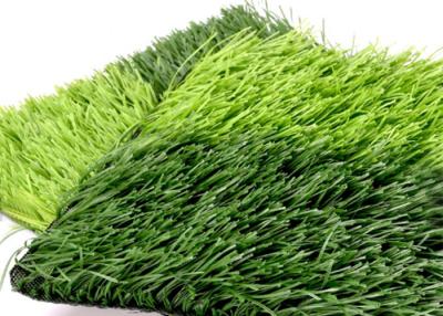 China SGS Approved Artificial Soccer Sports Synthetic Grass Turf Dtex6000 for sale