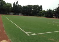China 3m Wide Football Synthetic Grass Outdoor Green Grass Carpet for sale