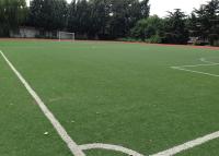 China 30mm Evergreen Artificial Fake Plastic Grass For Soccer Football Field for sale