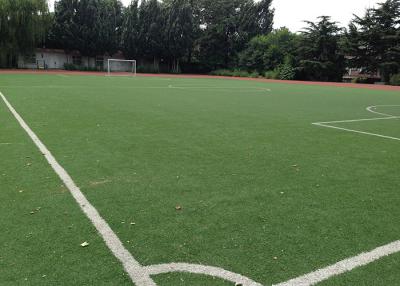 China 30mm Evergreen Artificial Fake Plastic Grass For Soccer Football Field for sale
