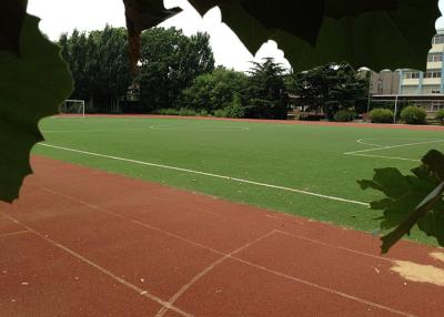 China 30Mm Artificial Soccer Grass UltraViolet Proof Football for sale