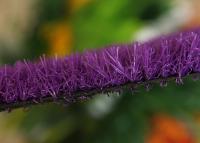 China 65mm Indoor Synthetic Colored Artificial Turf Pet Friendly for sale