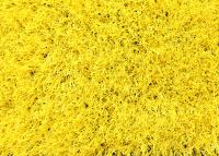 China 20mm Coloured Polyethylene Fake Grass For Playground 3m x 3m for sale