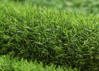 China Green Natural Looking Artificial Grass 5x5 50mm For Backyard for sale
