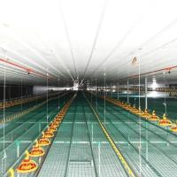 China Waterproof Automatic Poultry Farm Equipment Chicken House Feeders Drinkers Complete Set for sale