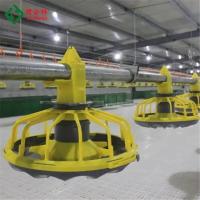 China Waterproof Automatic Poultry Farm Equipment Chicken House Feeders Drinkers Complete Set for sale