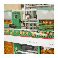 China H Type Automatic Layer Poultry Farming Equipment Battery Chicken Egg Layer Cage System for sale