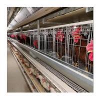 China H Type Automatic Layer Poultry Farming Equipment Battery Chicken Egg Layer Cage System for sale