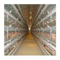 China H Type Automatic Layer Poultry Farming Equipment Battery Chicken Egg Layer Cage System for sale