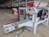 China MGJY10-30WS double spindle Multiple rip saw For Processing wood logs for sale