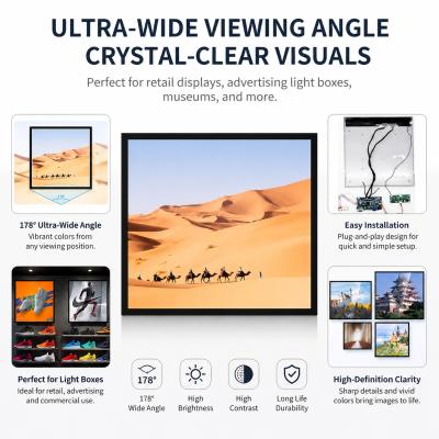 China 22 Inch Portable Computer Monitor Square Digital Signage Display With 1920x1920 Resolution 500 cd/m2 for sale