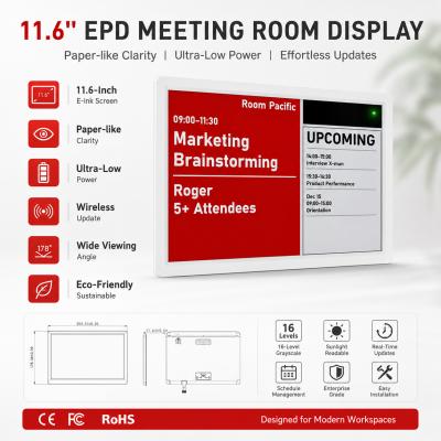China 3 Color E Paper Display 11.6