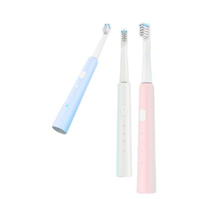 China Smart Sonic Whitening Dupont Soft Brush Rechargeable SN301 Electric Toothbrush for sale
