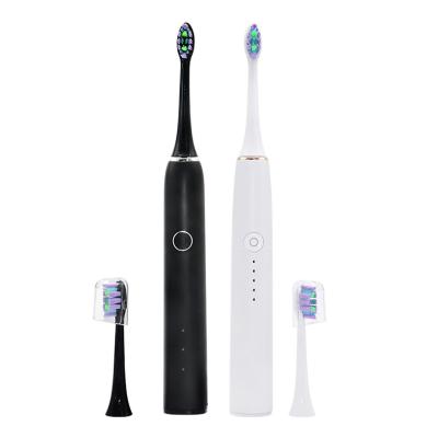 China Electric Toothbrush SN302 teeth cleaning Toothbrushes With 2pcs Toothbrush Heads for sale