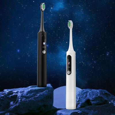 China Baolijie SN-P1 Customized Logo Rechargeable Electric Toothbrush with 60 Days Runtime 33600RPM and 1 Year Warranty for sale