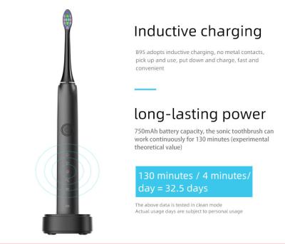 China Baolijie SN-P1 Sonic Toothbrush with 33600RPM 60 Days Runtime and 6 Modes Rechargeable Electric Toothbrush for sale