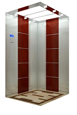 China Homelift, Villa Elevator, Load 320KG-450KG, Speed 0.4-1.0m/s for sale