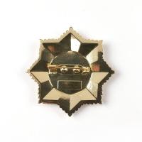 China Custom 3D Enamel Gold Finish Pin Badge 1.15 Inch Safety Pin Backing 1000 Pieces for sale