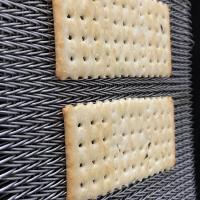 China Herringbone Conveyor Belt SS 304 316 310 310s Stainless Steel  Balanced Weave Belt for sale