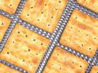 China 304/316/316L Stainless Steel Biscuit Baking Belt - Heat Resistant Food Grade Flat Wire Conveyor Belt for sale
