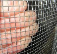 China High Efficiency Plain Woven Stainless Steel Crimped Wire Screen Mesh In Fertilizer Plants Coal Plants for sale