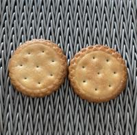 China High Temperature Resistant Food Grade Stainless Steel Mesh Belt for Food Products Line for sale