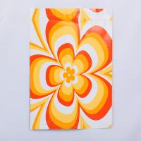 China Custom Plastic Poly Mailer Bags Biodegradable 10x15cm To 80x100cm Sizes for sale